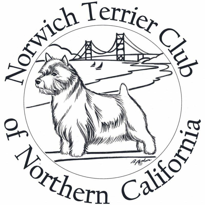 Norwich Terrier Club of America