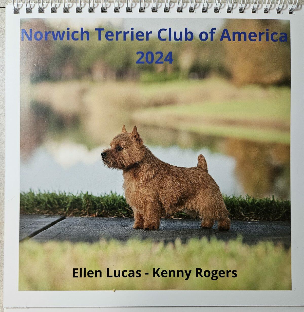 Shop – Norwich Terrier Club of America