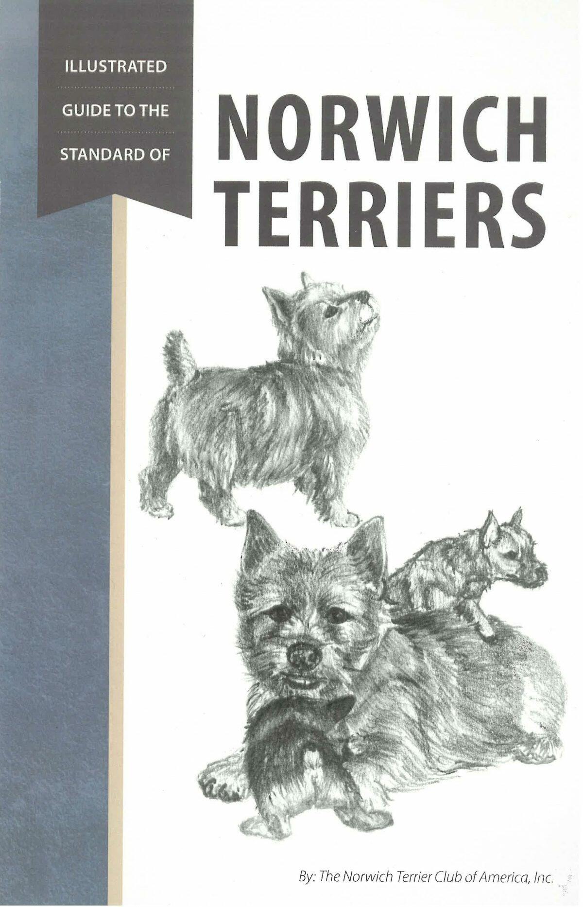Official Breed Standard & Illustrated Guide – Norwich Terrier Club of ...